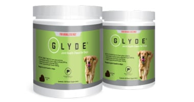 Glyde Joint Supplements for Dogs | Parnell